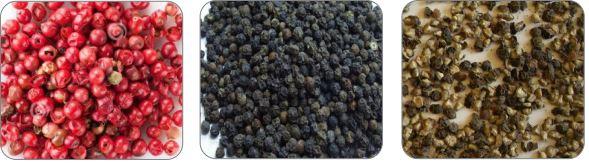 Black Pepper Sorting Machine Precise Target Positioning 2.5-5.0 t/h 2170kg