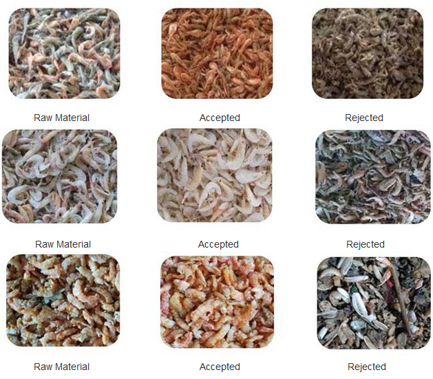 Fish / Shrimp Sorting Machine Double Layer Belt Type 5400 pixels 220V 50Hz